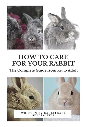 How to Care for Your Rabbit: The Complete Guide from Kit to Adult: A ...