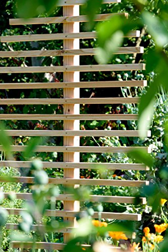 Design Rankgitter – Die 15 besten Produkte im Vergleich ...