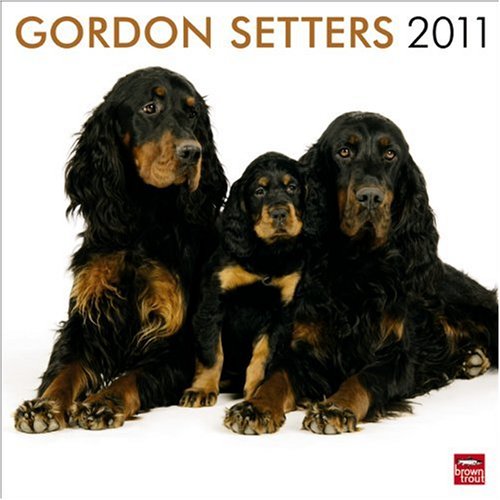 Gordon Setters 2011 Calendar: Browntrout Publishers: 9781421668024 ...