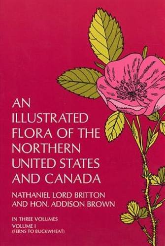 Amazon | An Illustrated Flora of the Northern United States and Canada ...