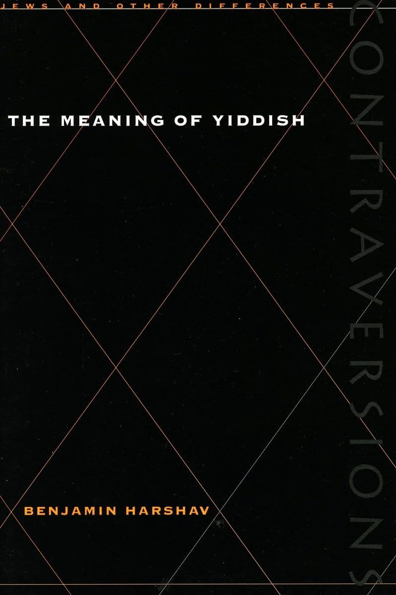 Amazon.com: The Meaning of Yiddish (Contraversions: Jews and Other ...