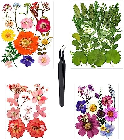 Amazon.com: 27 Types 61 Pieces Color Dry Embossing with Tweezers ...