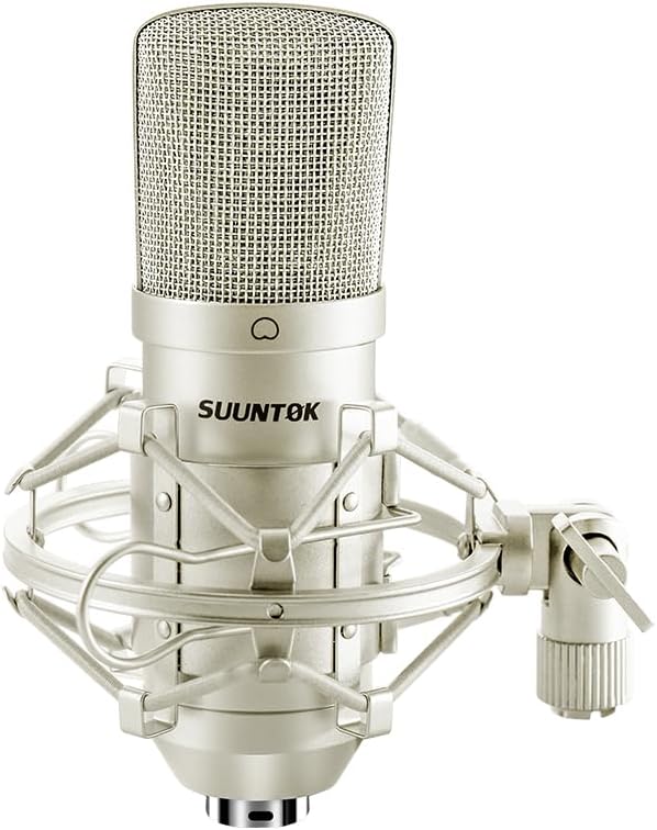 Amazon.com: UHURU XLR Condenser Microphone, Professional Studio ...