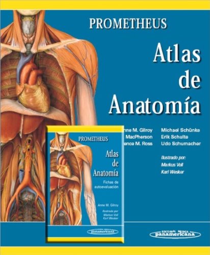 Atlas de anatomia/ Atlas of Anatomy: Prometheus | Amazon.com.br