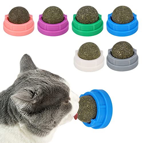 How To Give Your Cat Catnip – Top Do’s and Don’ts