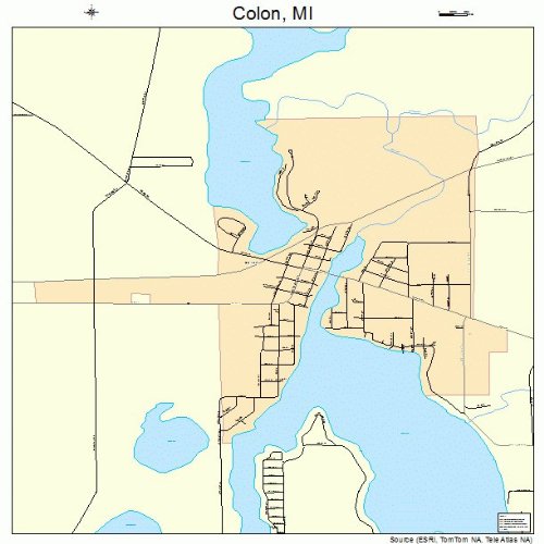 Large Street & Road Map of Colon, Michigan MI - Printed poster size ...