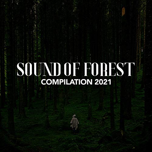 Amazon Music - VARIOUS ARTISTSのSOUND OF FOREST COMPILATION 2021 ...