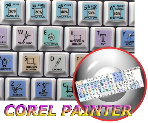 COREL PAINTER GALAXY SERIES KEYBOARD STICKERS 12x12 SIZE: 4Keyboard ...