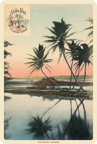 Amazon.com : Pacifica Island Art Hawaiian Vintage Postcards for Mailing ...