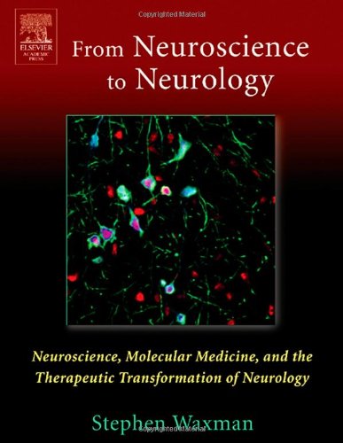 Ebook – From neuroscience to neurology Edition (PDF Instant Download ...