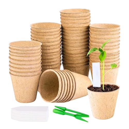 Macetas biodegradables: la opción eco-friendly para tus plantas y el ...