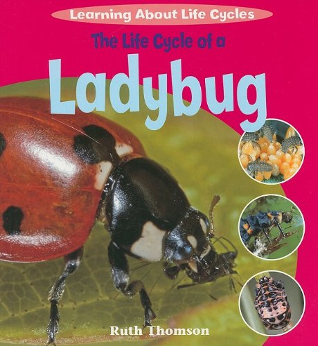 The Life Cycle of a Ladybug (Learning About Life Cycles): Thomson, Ruth ...