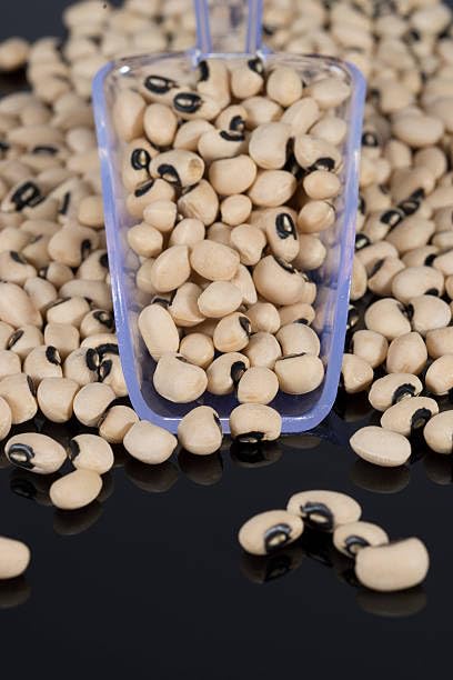 Farm Fresh Premium White Lobia 1Kg Black Eyed Beans Black Eyed Pea Cow ...