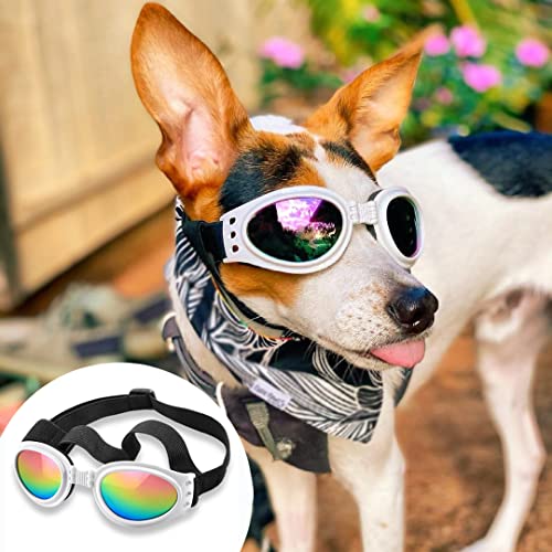 5 Best Dog Sunglasses (Anti UV Rays Goggles for Dogs)