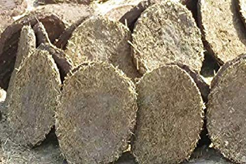 Buy Gobar Uple (Cow Dung) Online at Low Prices in India - Amazon.in