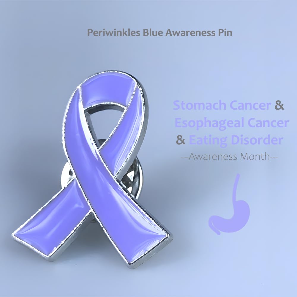 Snapklik.com : Stomach Esophageal Cancer Awareness Ribbon Lapel Pin