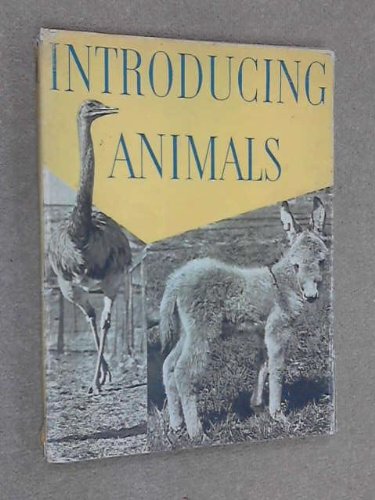 INTRODUCING ANIMALS: Books - Amazon.ca