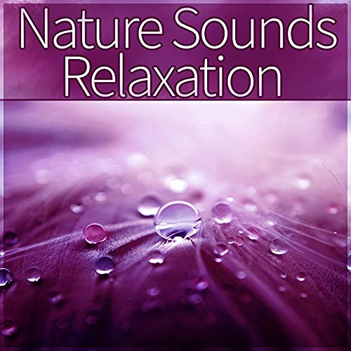 Nature Sounds Relaxation - Peaceful Music with Nature Sounds ...