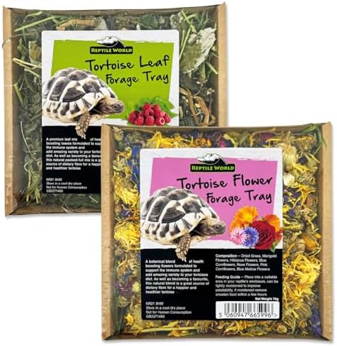 Reptile World Forage Tray, 100% Natural botanical enrichment for ...