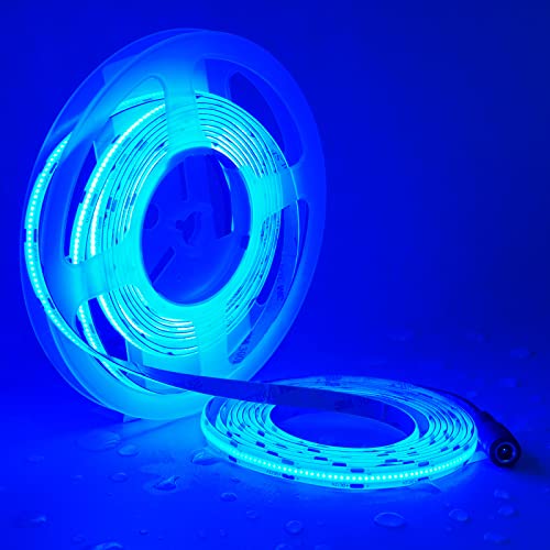 12V blue 12V LED strips | LED Moment