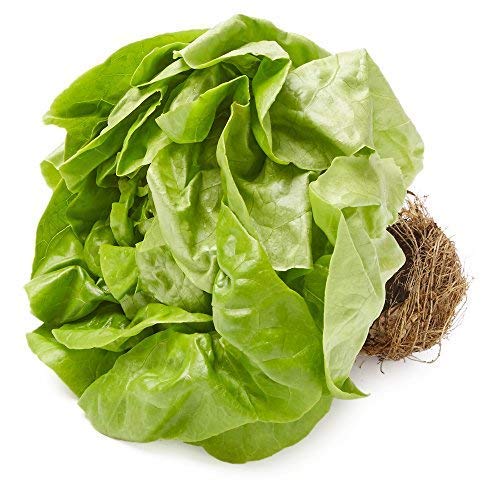 Amazon.com: PRODUCE Organic Living Green Butter Lettuce Clamshell, 1 EA ...