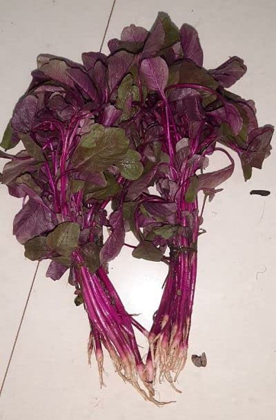 Organic Lal Saag Vegetable Seed For Kitchen Gardening - 500 : Amazon.in ...