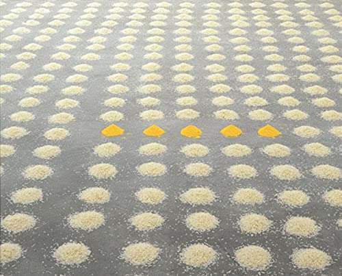 Without Place - Without Time - Without Body: LAIB WOLFGANG, Laib ...