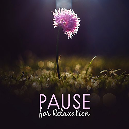 Pause for Relaxation: Stay Calm, Heal Your Mind & Soul, Stress Reduce ...