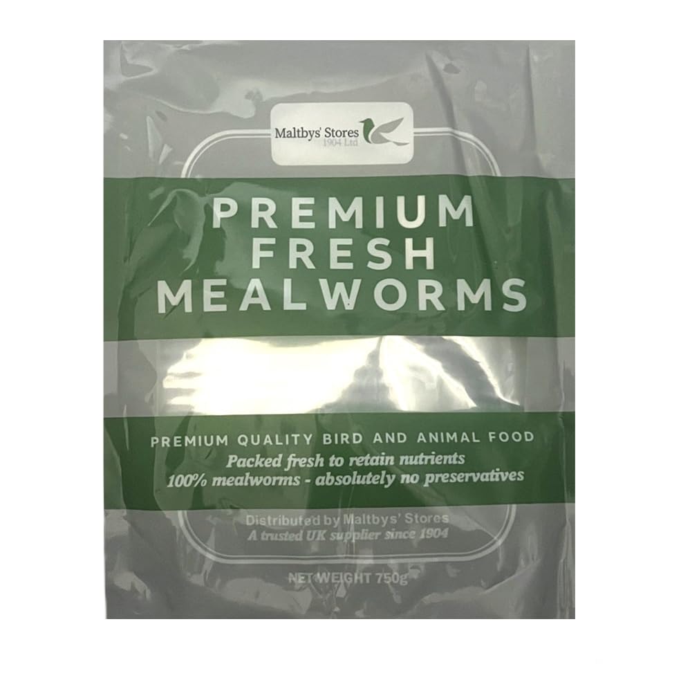750g Fresh Mealworms Wild Bird Food (More Nutritious than Dried - More ...