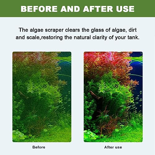 Algae Scraper, Aquarium Algae Cleaner, Aquarium Scraper, Glass Scraper ...