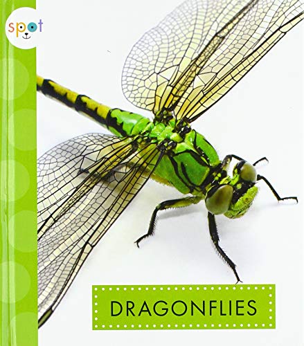Top 10 Fly Spot Products to Keep Your Space Bug-Free - A Complete ...