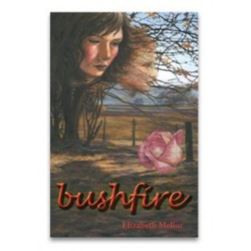 Bushfire -: Karen Barber -: 9780646528915: Amazon.com: Books