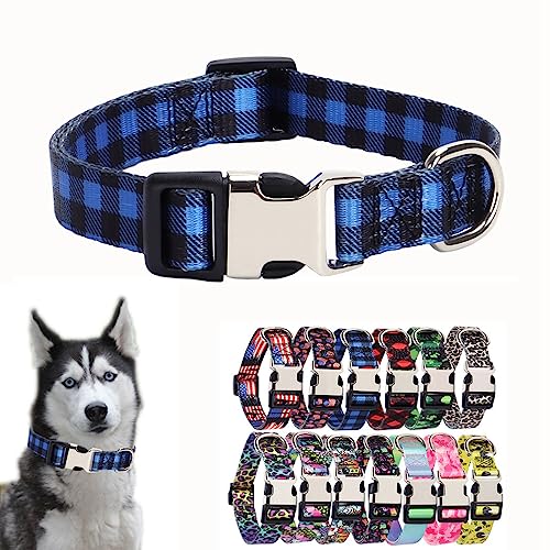 Male Dog Collars – The 15 best products compared - Wild Explained
