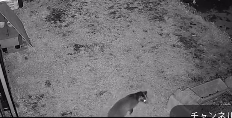 Amazon.co.jp: 防犯カメラ 屋外 ワイヤレス Logisaf 24時間録画 300万画素 防犯カメラセット 2台 10台増設 ...