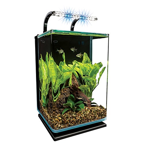 5 Best 5 Gallon Fish Tanks (& Why They're So Good)