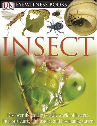 Insect (DK Eyewitness Books): Mound, Laurence: 9780756606923: Amazon ...