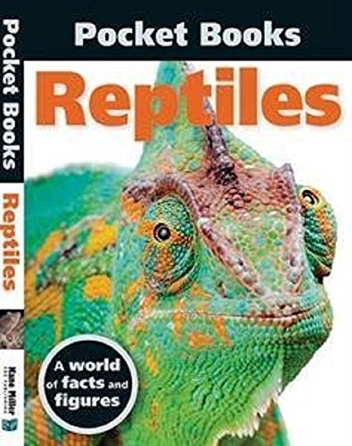 Amazon.com: Pocket Books : Reptiles: 9781610673501: Kane Miller: Office ...