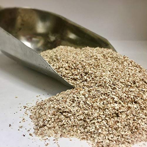 Teff: Propiedades nutritivas, contraindicaciones y recetas - Mi Hogar