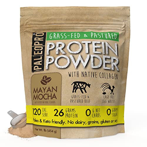 Top 10 Best Tasting Beef Protein Powder : Reviews & Buying Guide - Katynel
