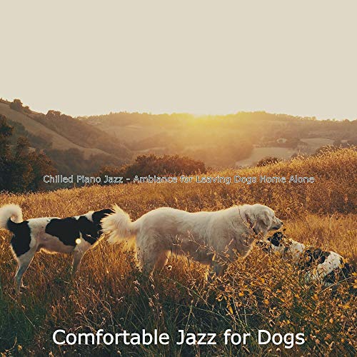 Amazon Music Unlimited - Comfortable Jazz for Dogs 『Chilled Piano Jazz ...