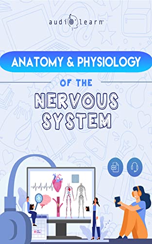 The Anatomy and Physiology of the Nervous System - A Complete Guide to ...