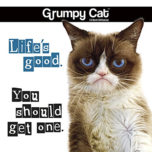 2019 Grumpy Cat Mini Calendar: Trends International: 9781438865577 ...