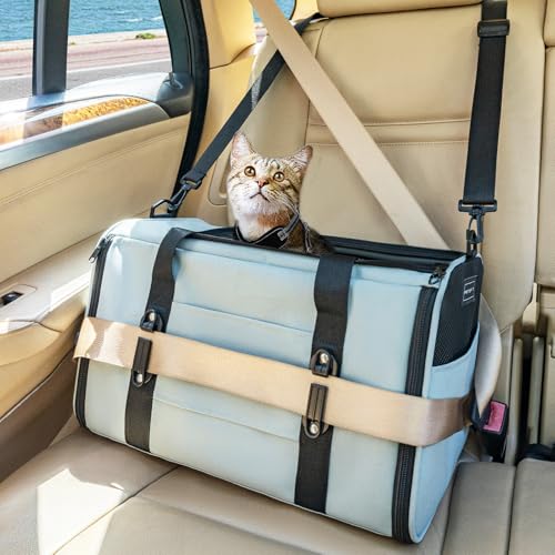 Cat Car Carrier – The 15 best products compared - Wild Explained