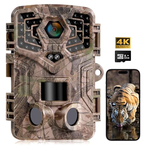 Find The Best Wide Angle Trail Camera Reviews & Comparison - Katynel