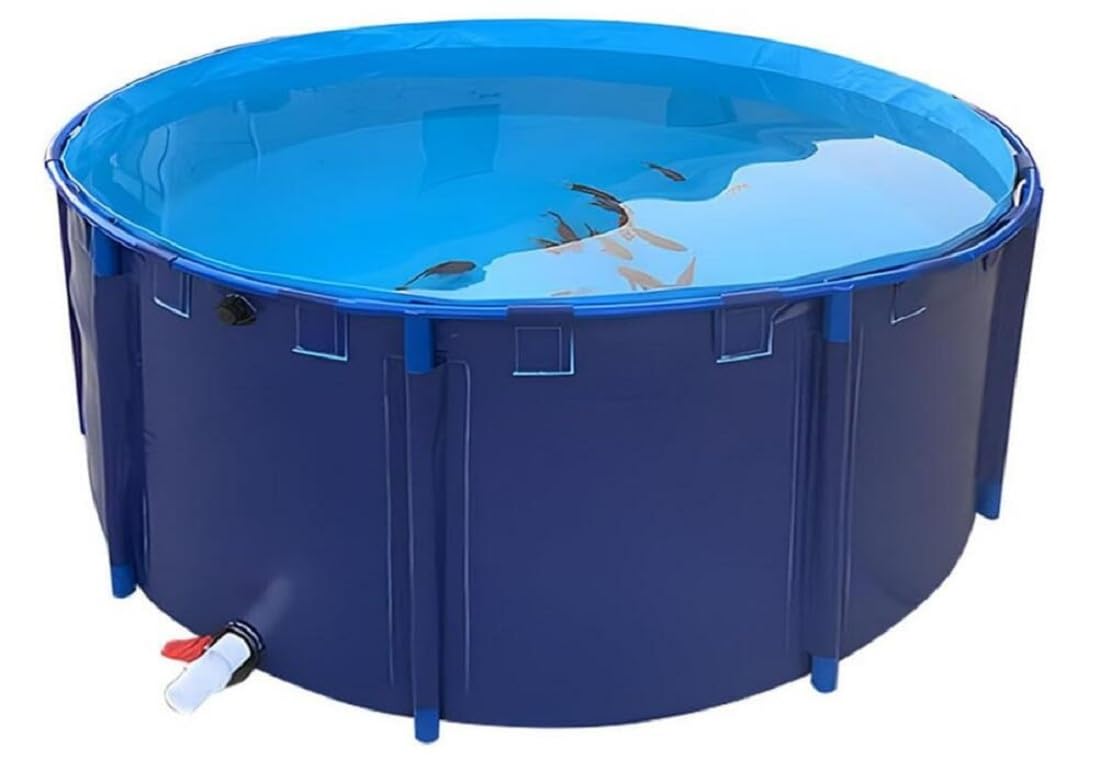 Amazon.com : AMGBYMGB Above Ground Pond, Pool Above Ground Canvas Fish ...
