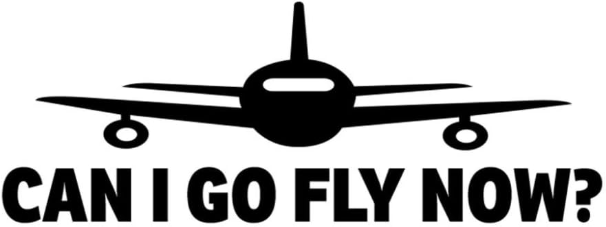 Amazon.com: CAN I GO FLY NOW Aviation Pilot Decal Sticker