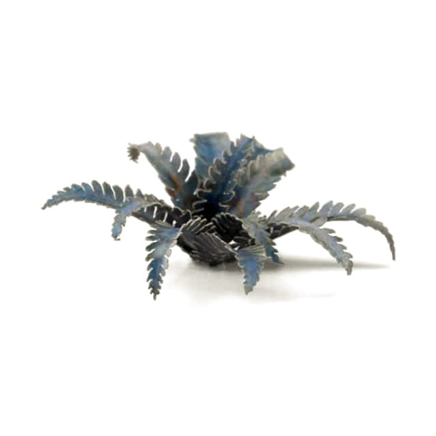 Amazon.com : Laser Plants - Alien Fern : Patio, Lawn & Garden