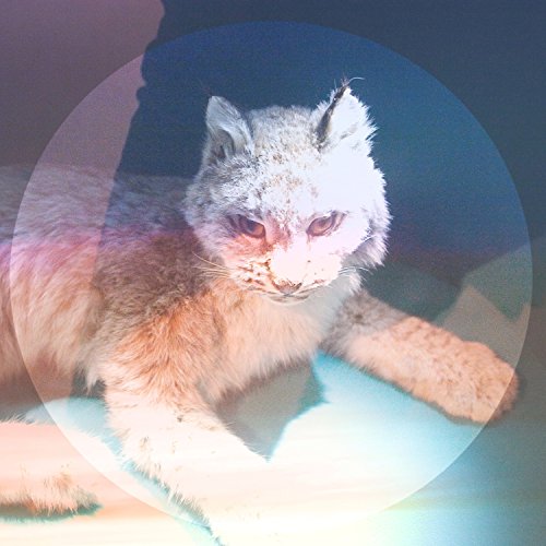 Play Lovelorn by Simian Ghost on Amazon Music