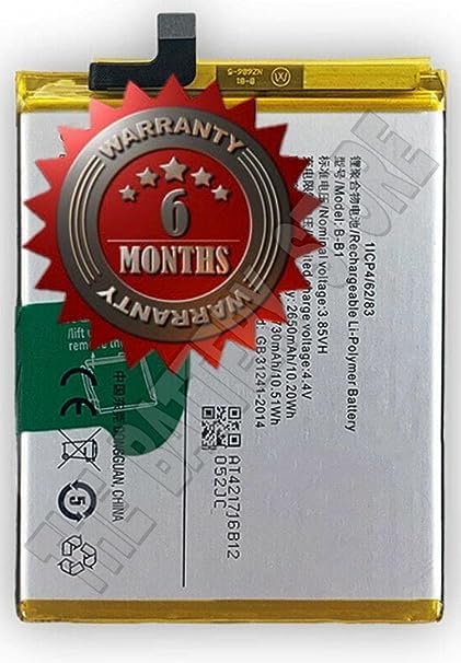 THE BATTERY STORE® Original B-B1 Battery for Vivo Y55 Y55A Y55L Y55S ...