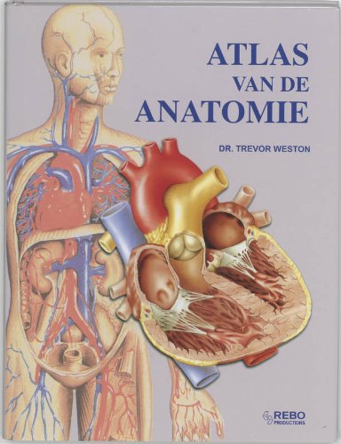 Atlas van de anatomie : Smink, A.: Amazon.co.uk: Books